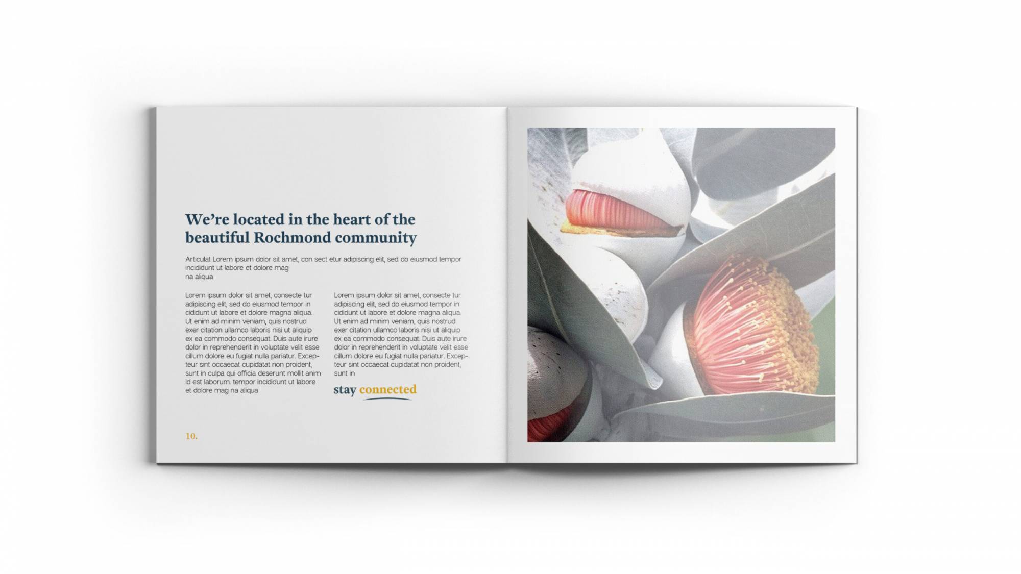 Strategic promotional strategy and new name for Rivera Place - DAIS